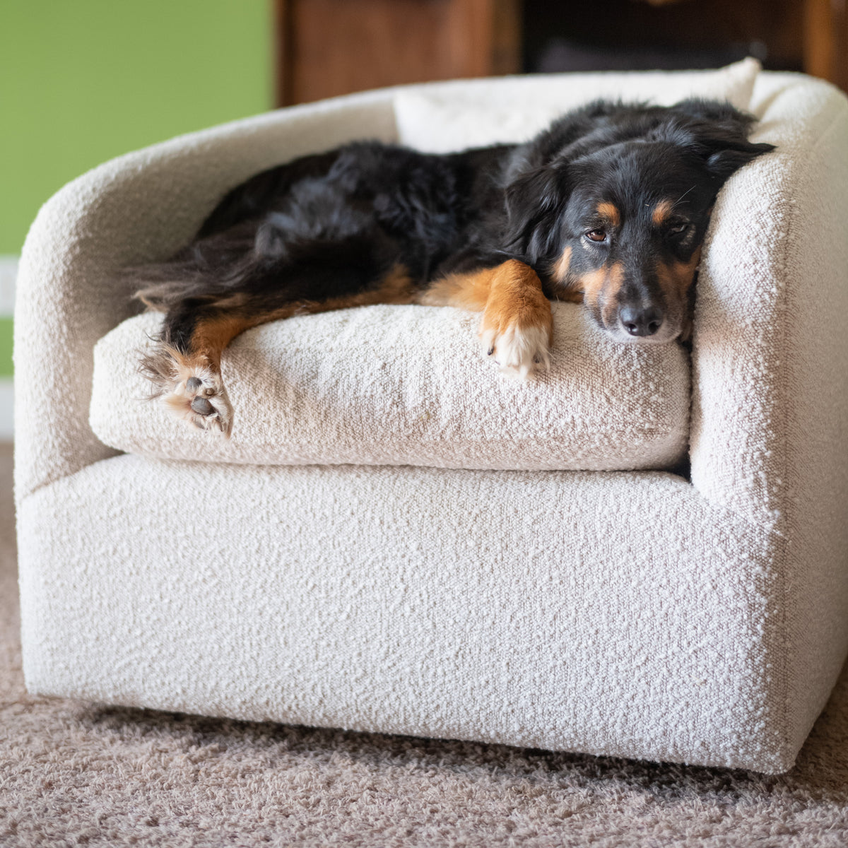 Topanga Swivel Chair – Chuck's Furniture